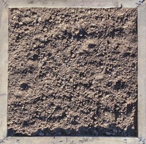 Fill Dirt - Screened | Mulch, Dirt, Topsoil Northern VA